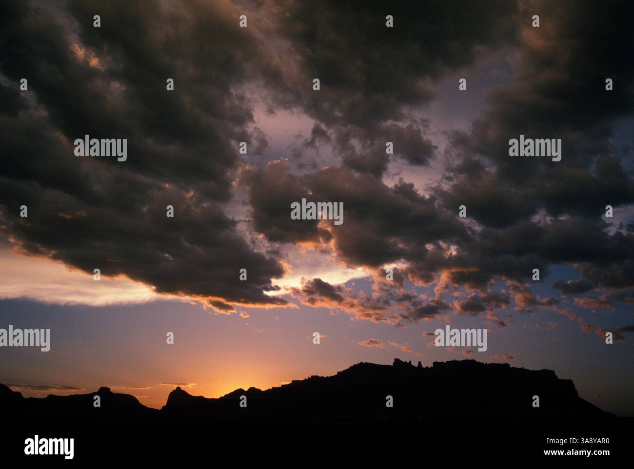00000003142 hi-res stock photography and images - Alamy