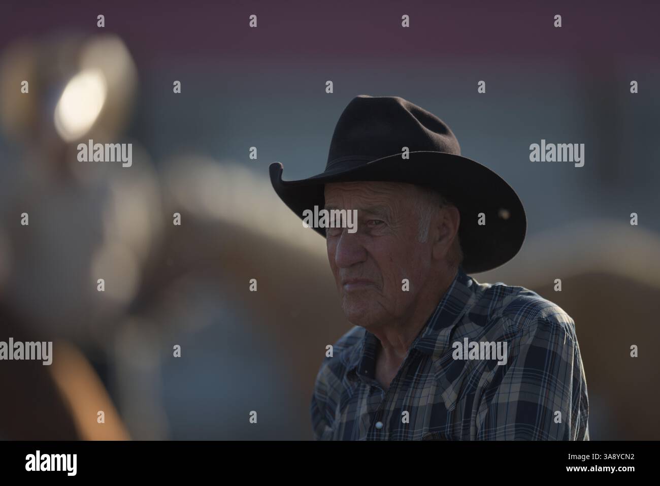 Jan 23, 2014 - Burwell, Nebraska, U.S. - A cowboy at Nebraska's Big ...