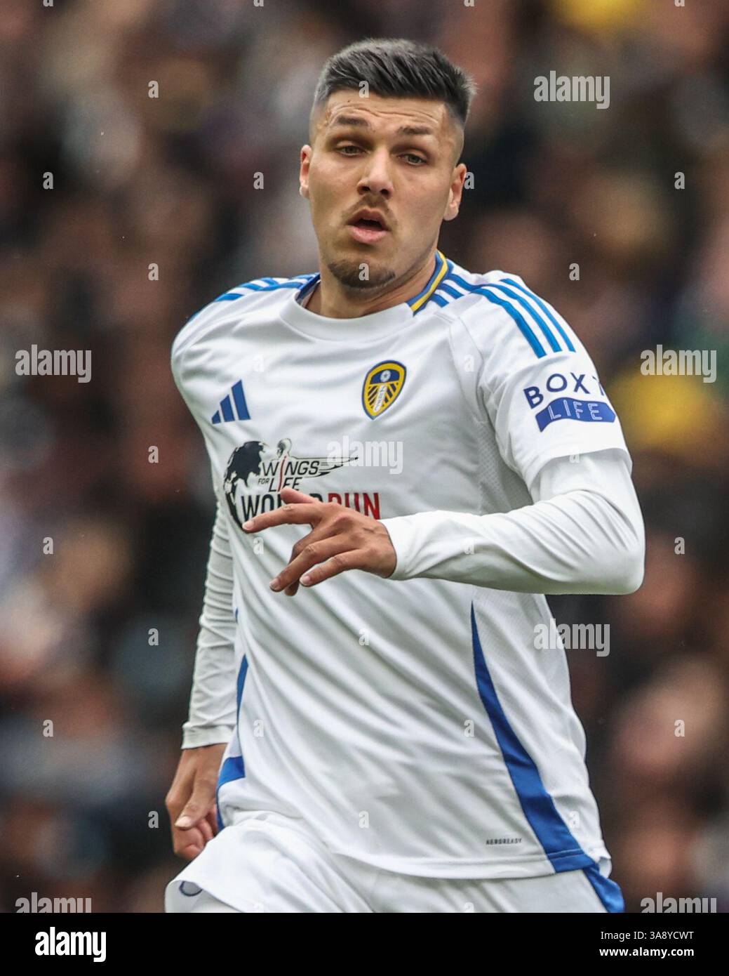 Joël Piroe of Leeds United during the Sky Bet Championship match Leeds ...
