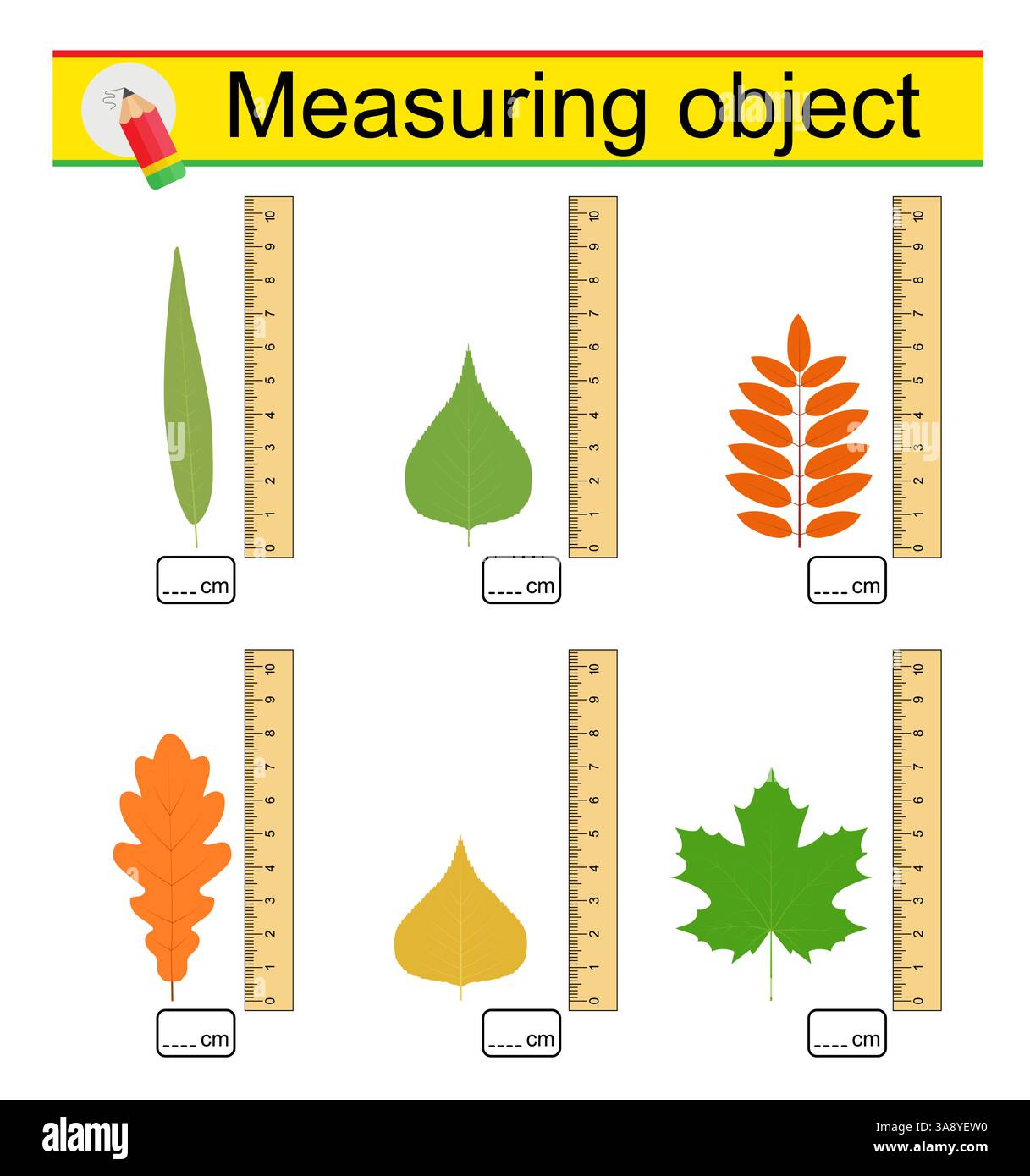 Worksheet for preschool kids. Measuring the length of the leaves with a ...