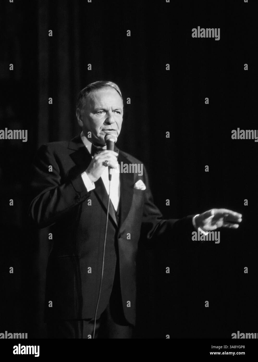 Frank Sinatra. Portrait of the singer and actor, Francis Albert Sinatra ...