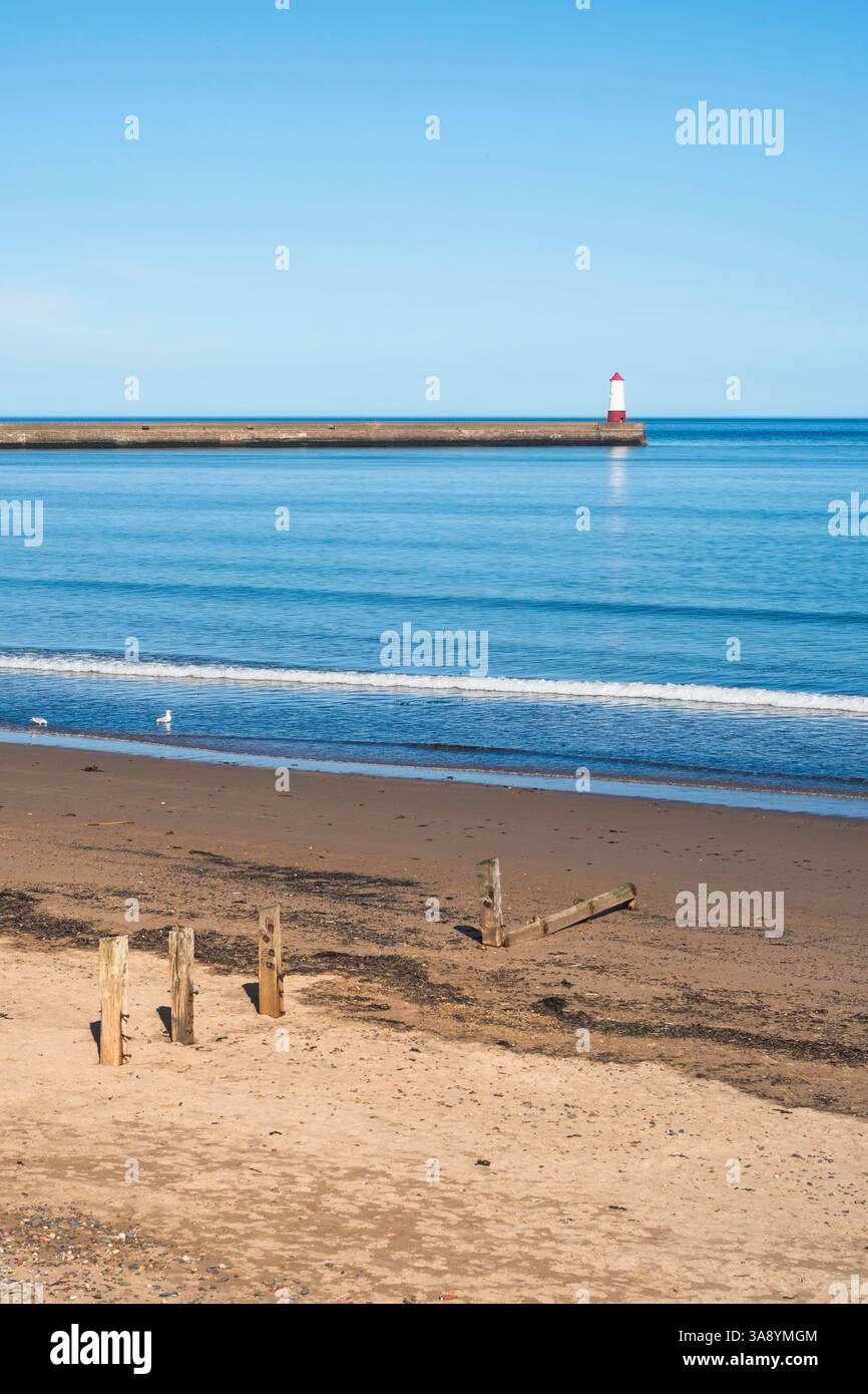 Old groin on Spittal beach with Berwick pier and lighthouse in the ...
