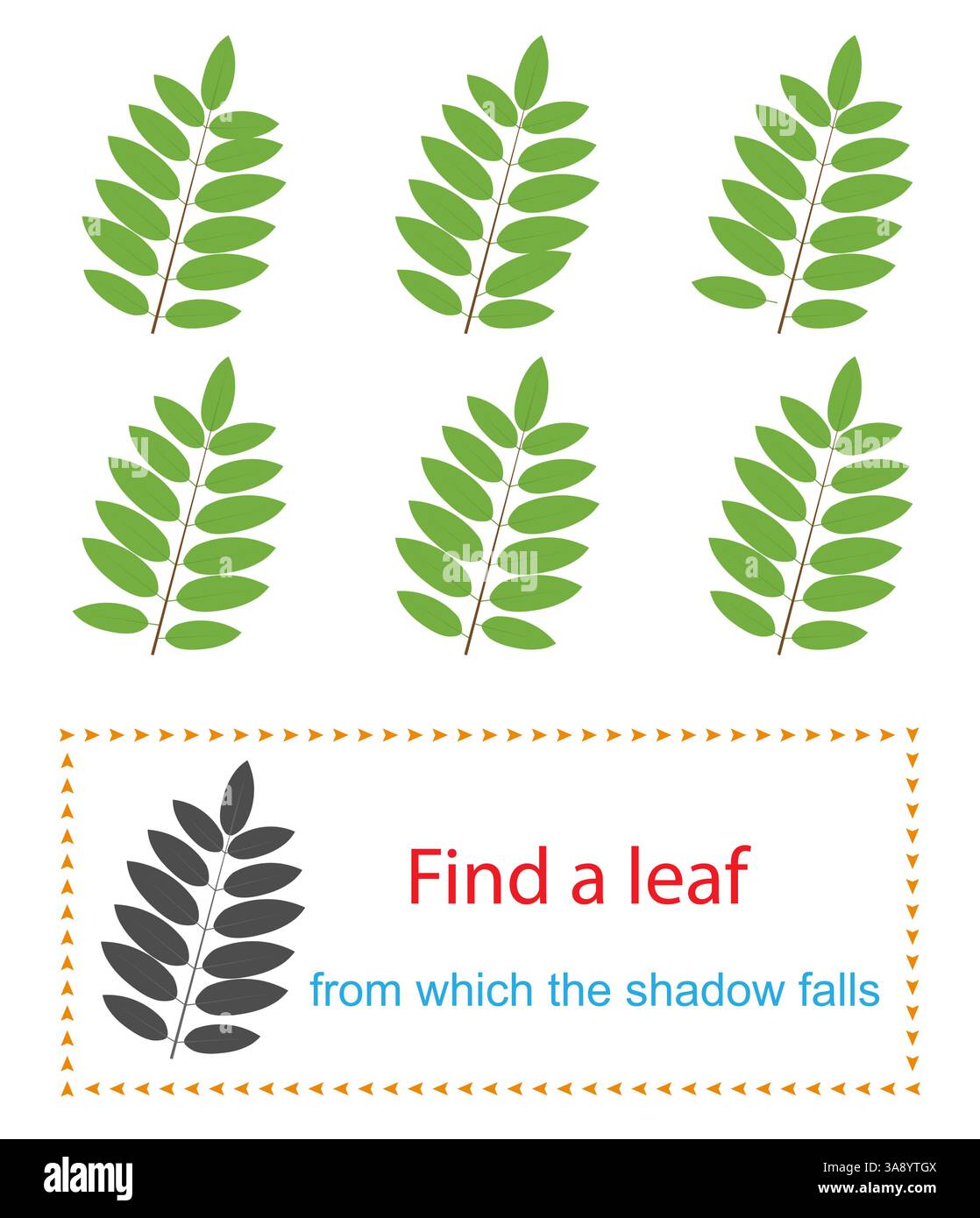 Educational game for kids. Task for attentiveness. Find a leaf from ...