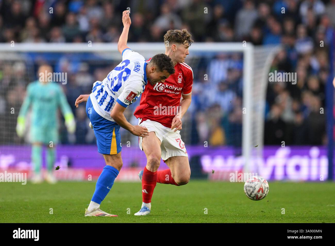 Ryan Yates of Nottingham Forest battles with Yasin Ayari of Brighton ...