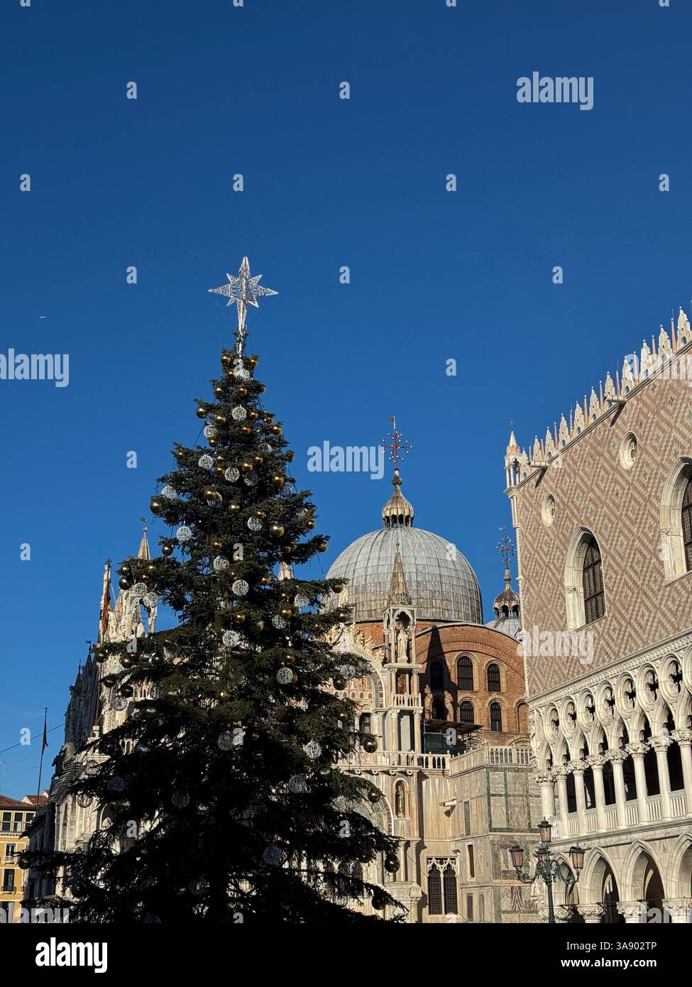 Christmas in Venice: Tree and Historic Landmark Stock Photo - Alamy