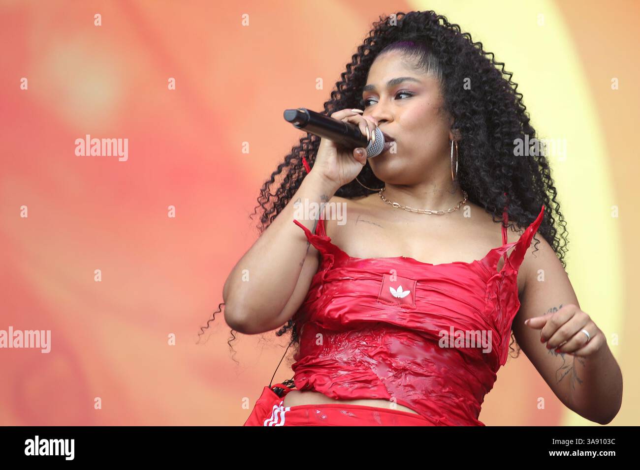 Sao Paulo, Brazil. 29th Mar, 2025. SP - SAO PAULO - 03/29/2025 - SAO ...