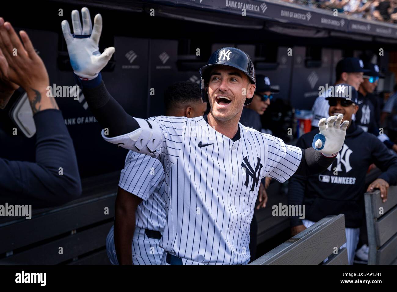 New York Yankees' Cody Bellinger (35) celebrates in the dugout after ...