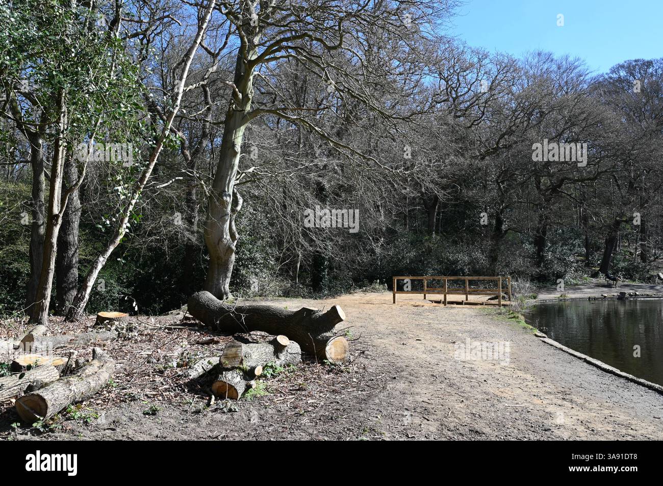 Wimbledon Common is a large, 1,140-acre open space in southwest London ...