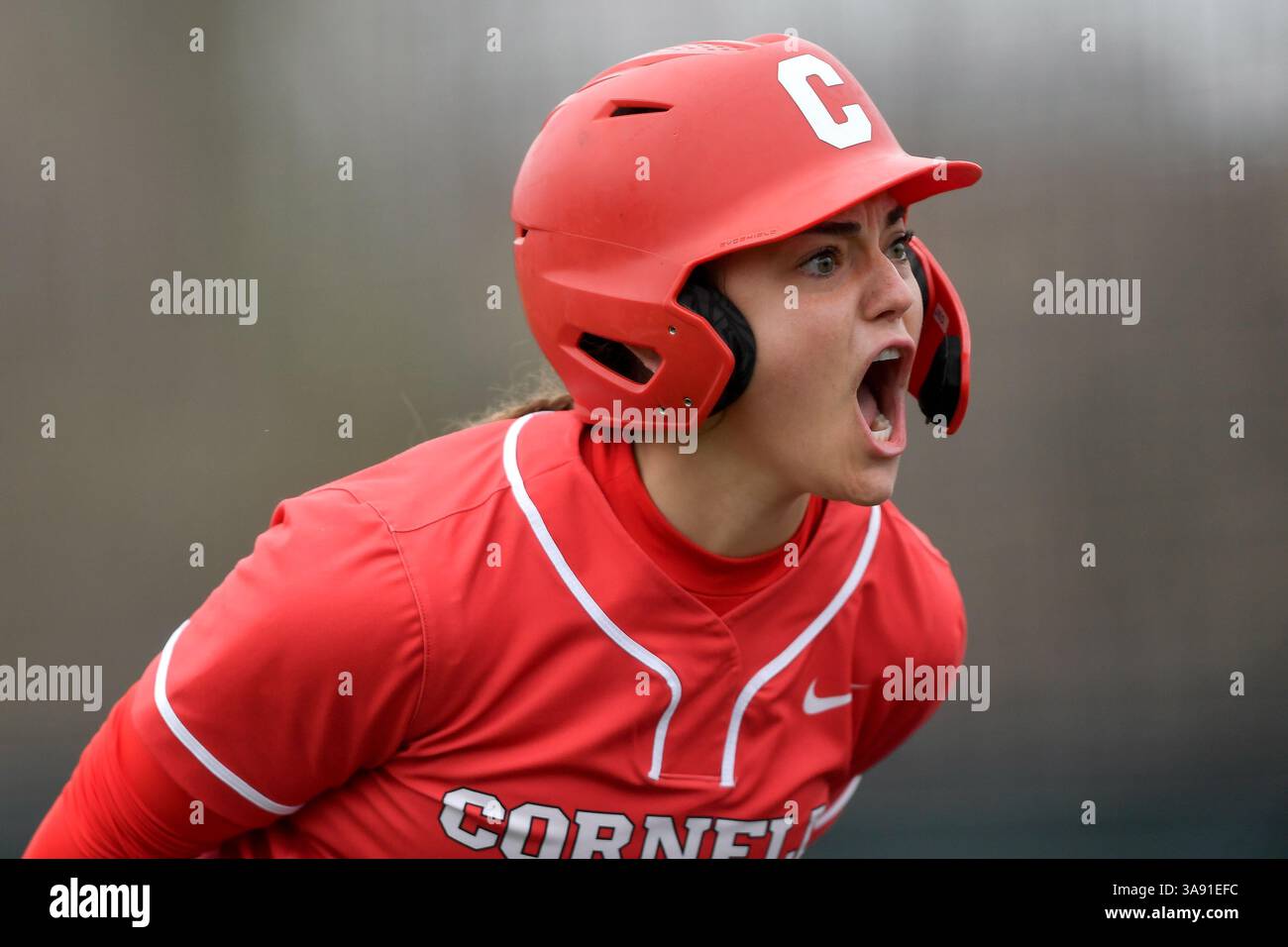 Cornell's Lauren Holt (30) reacts after hitting a home run during an ...