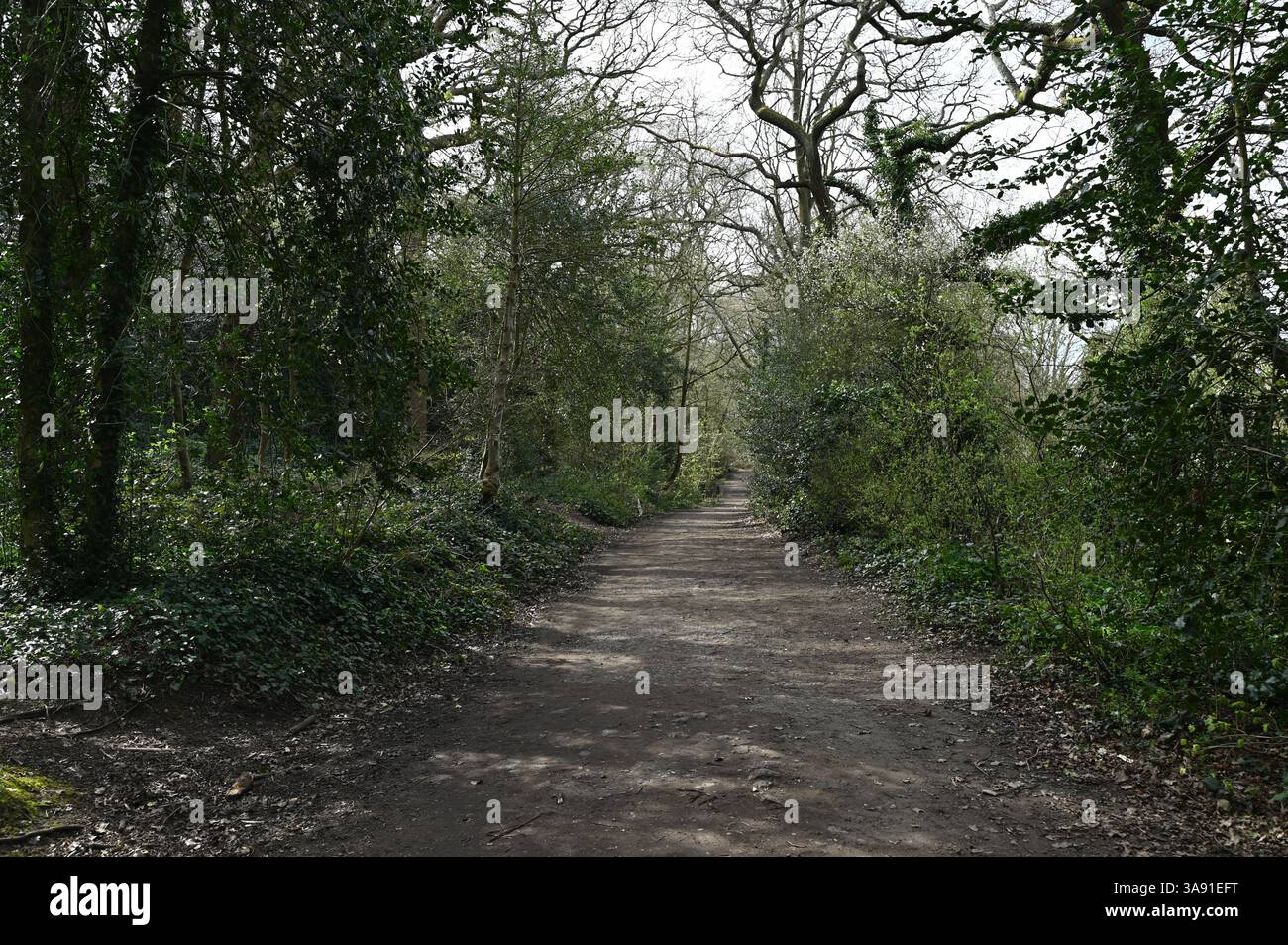 Special area of coservation hi-res stock photography and images - Alamy