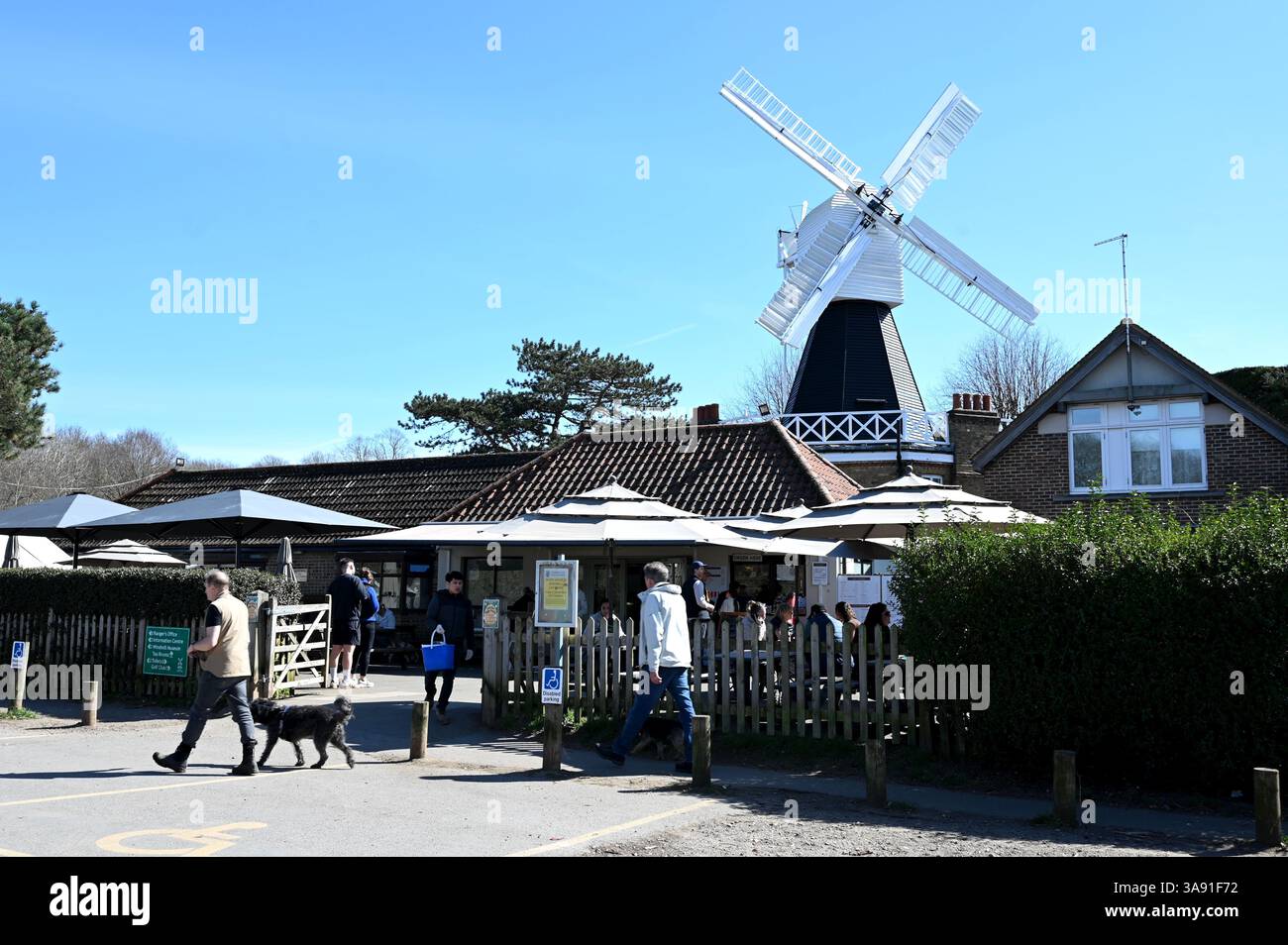 Special area of coservation hi-res stock photography and images - Alamy