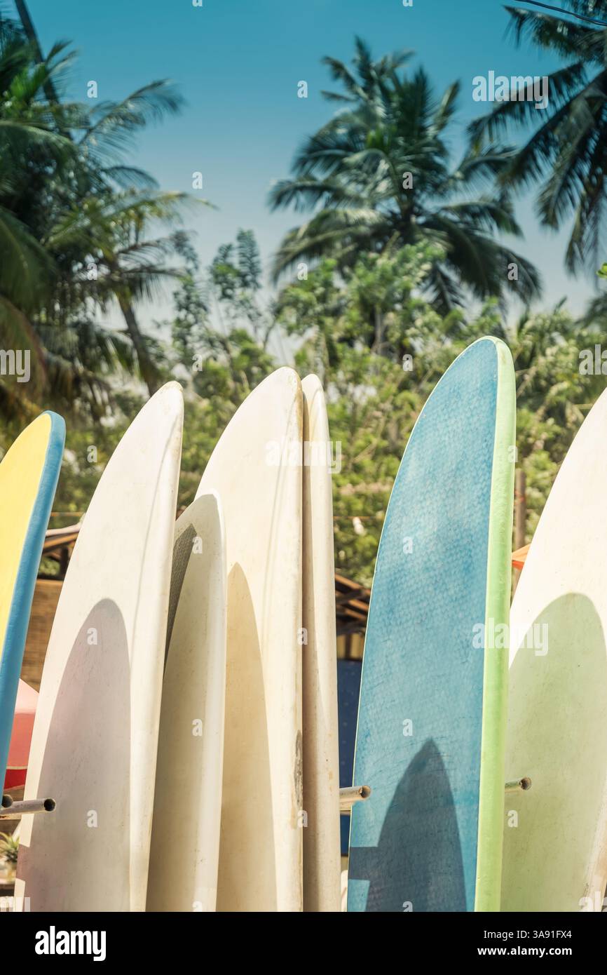 Surfing sri lanka beginner hi-res stock photography and images - Alamy