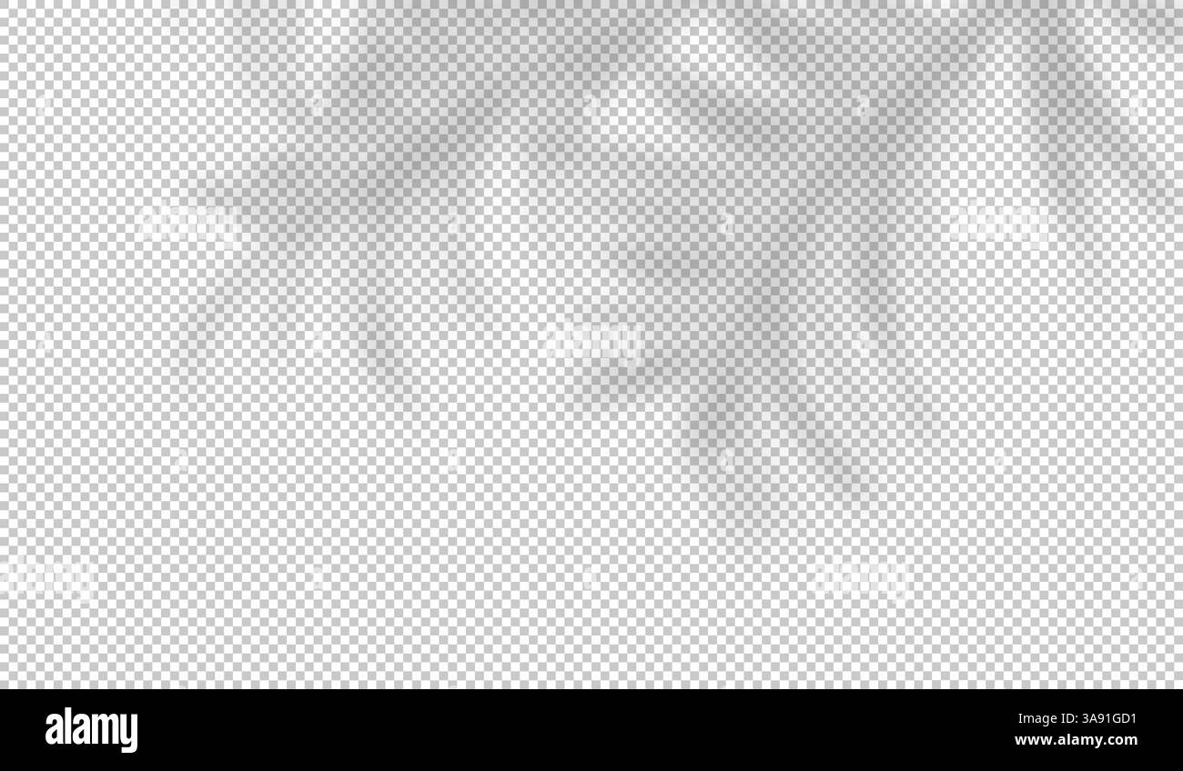 Shadow of leaf from window. Shadows palm leaves isolated on transparent ...