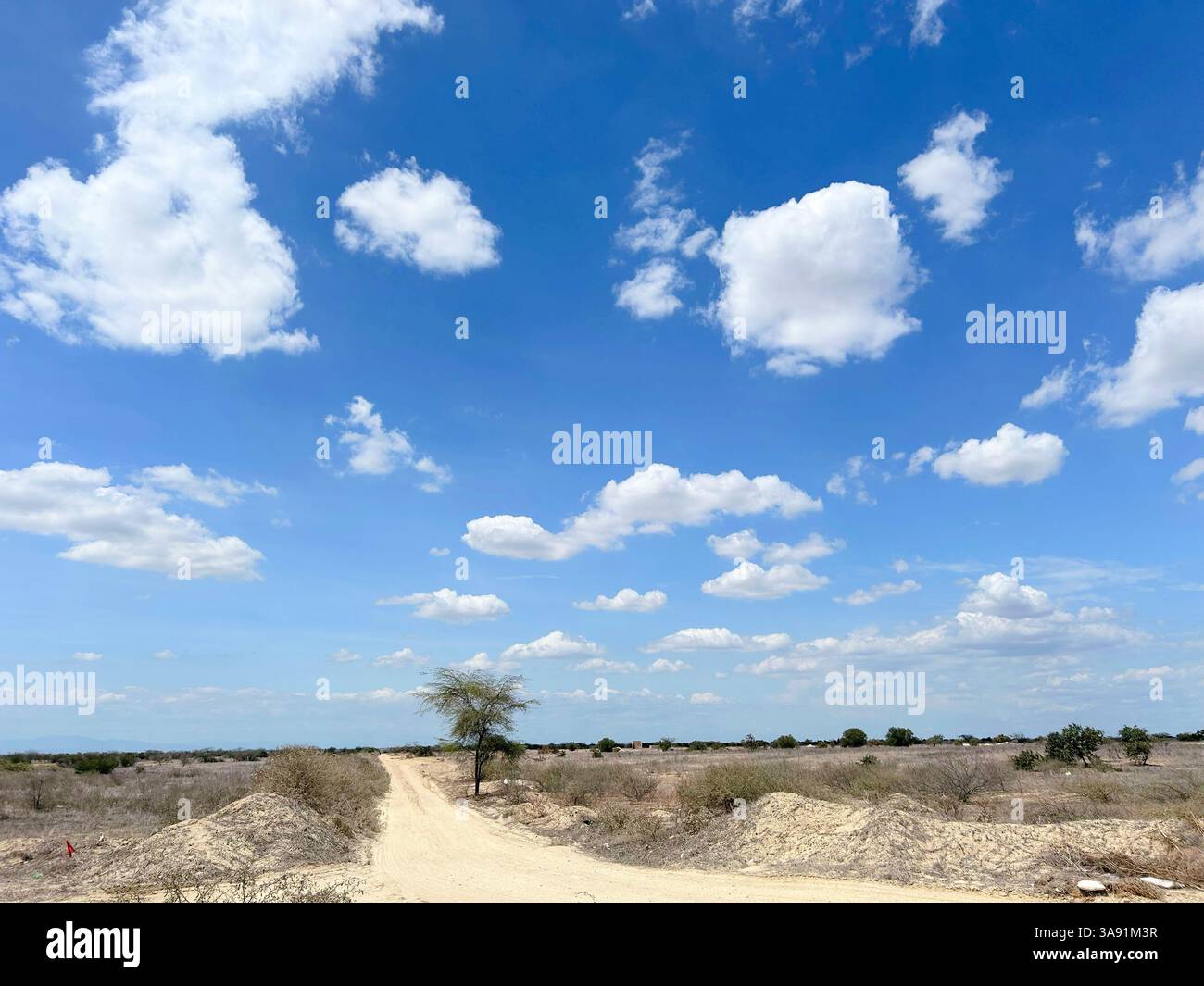 Dusty Rural Road Through the Arid Landscape of Piura-Paita, Peru Stock ...