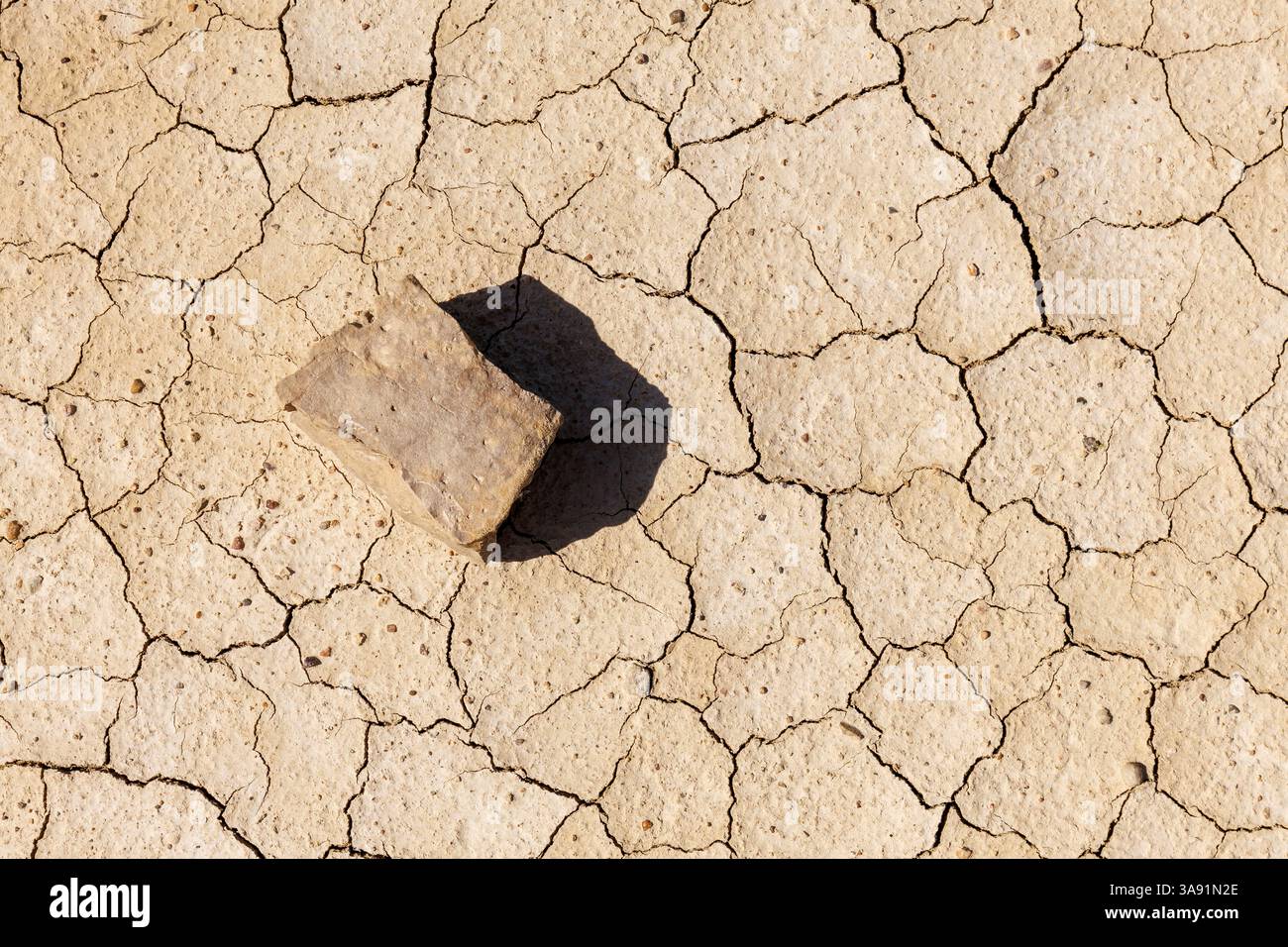 Top view of a stone on the arid and cracked ground of the Bardenas ...