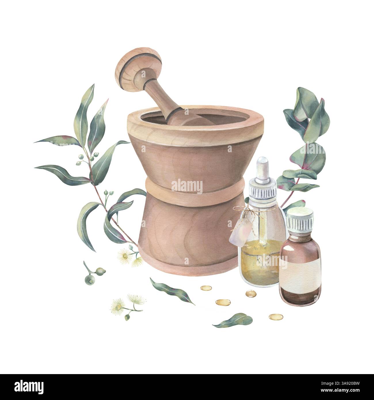 Eucalyptus branches with leaves, wooden mortar and pestle, glass bottles of essential oil ...