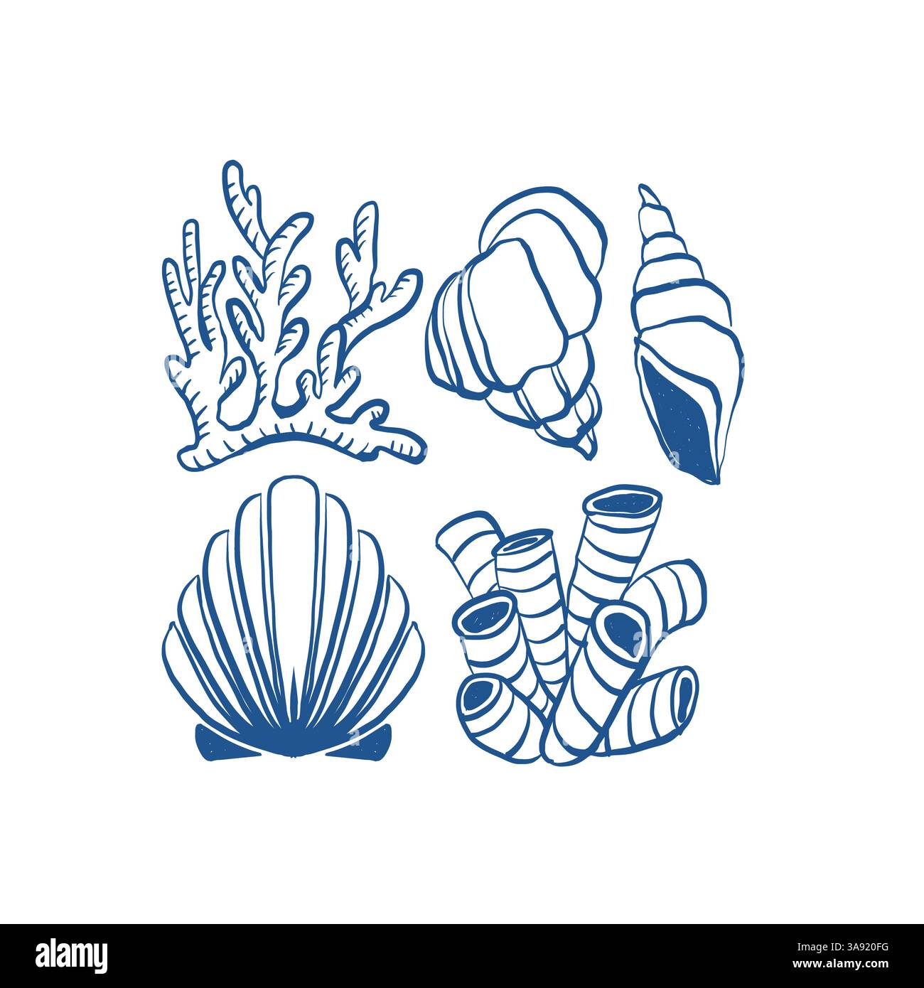 Set of hand drawn graphic shells and corals in blue. Outline vector ...
