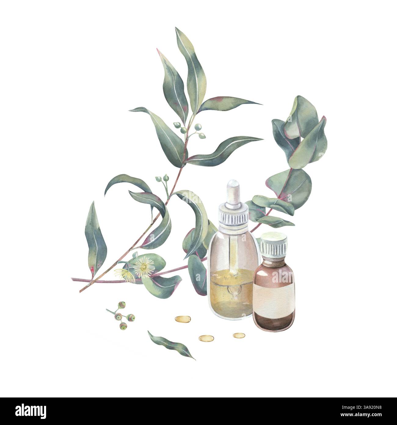 Eucalyptus branches with leaves, shoots and buds, glass bottles of ...