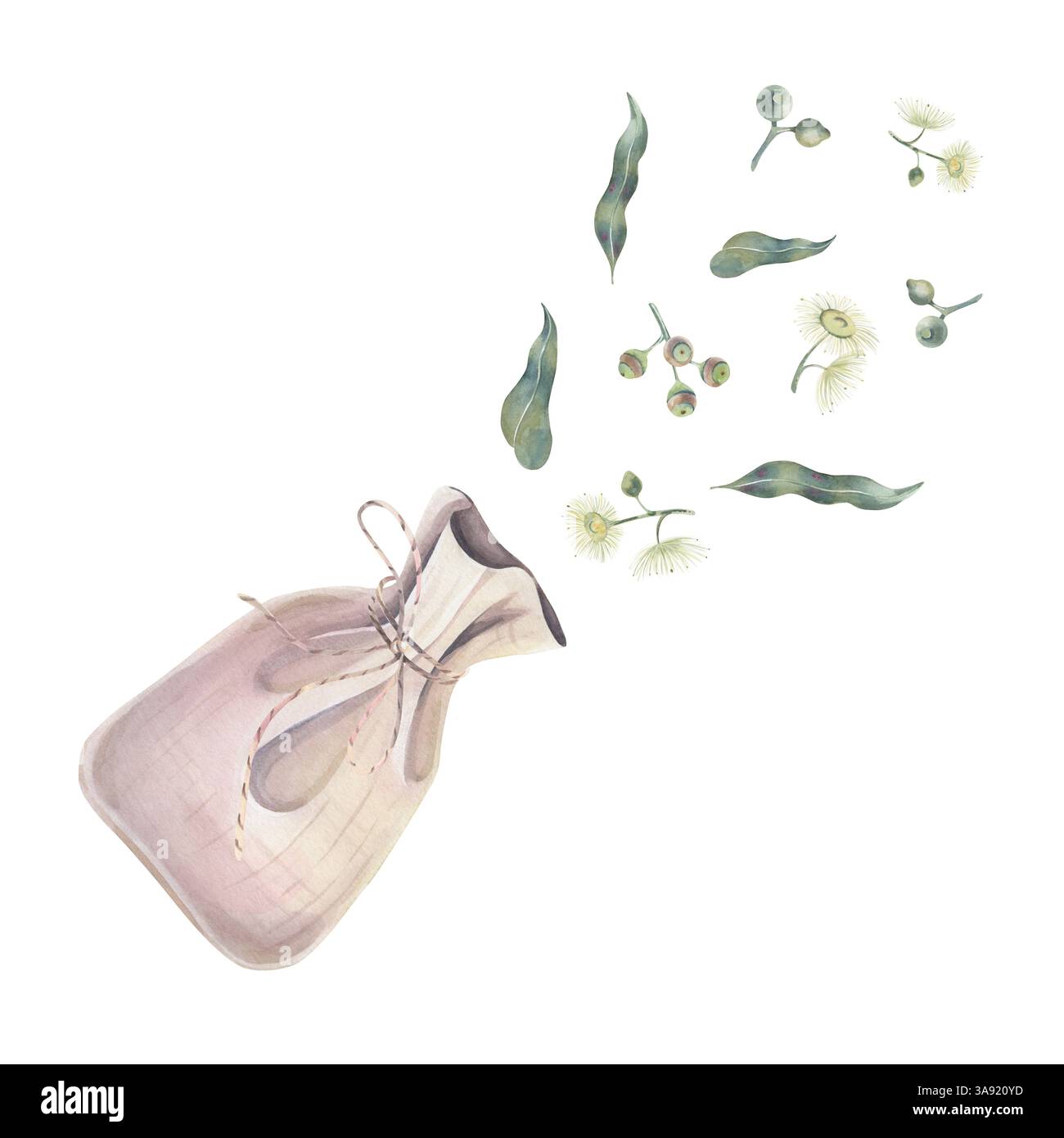 Linen bag with eucalyptus, tied with a delicate string, shoots, leaves ...