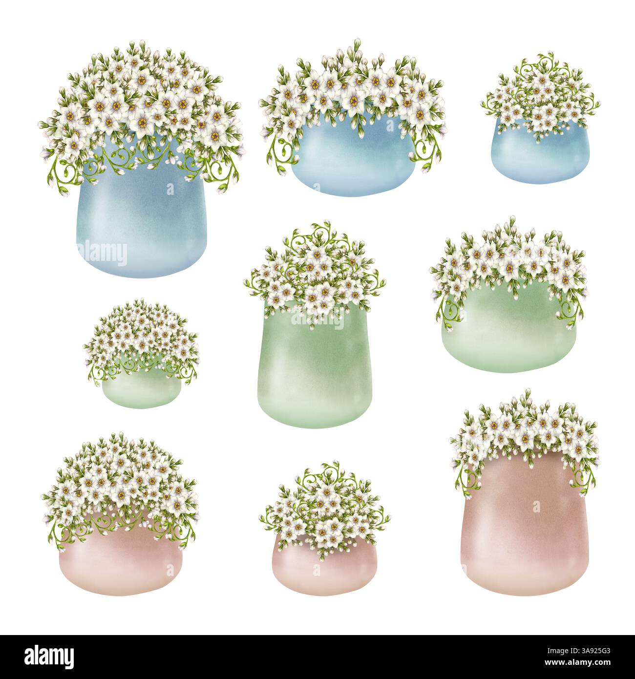 White flowers primroses in blue, green, beige ceramic pots. Watercolor ...