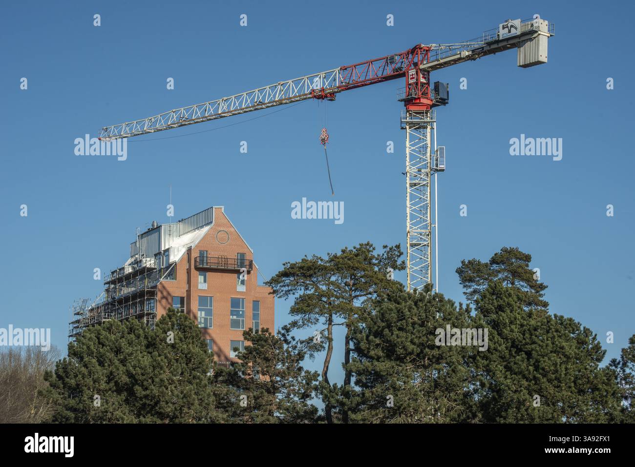 Tall construction crane and newly built high-rise building over ...