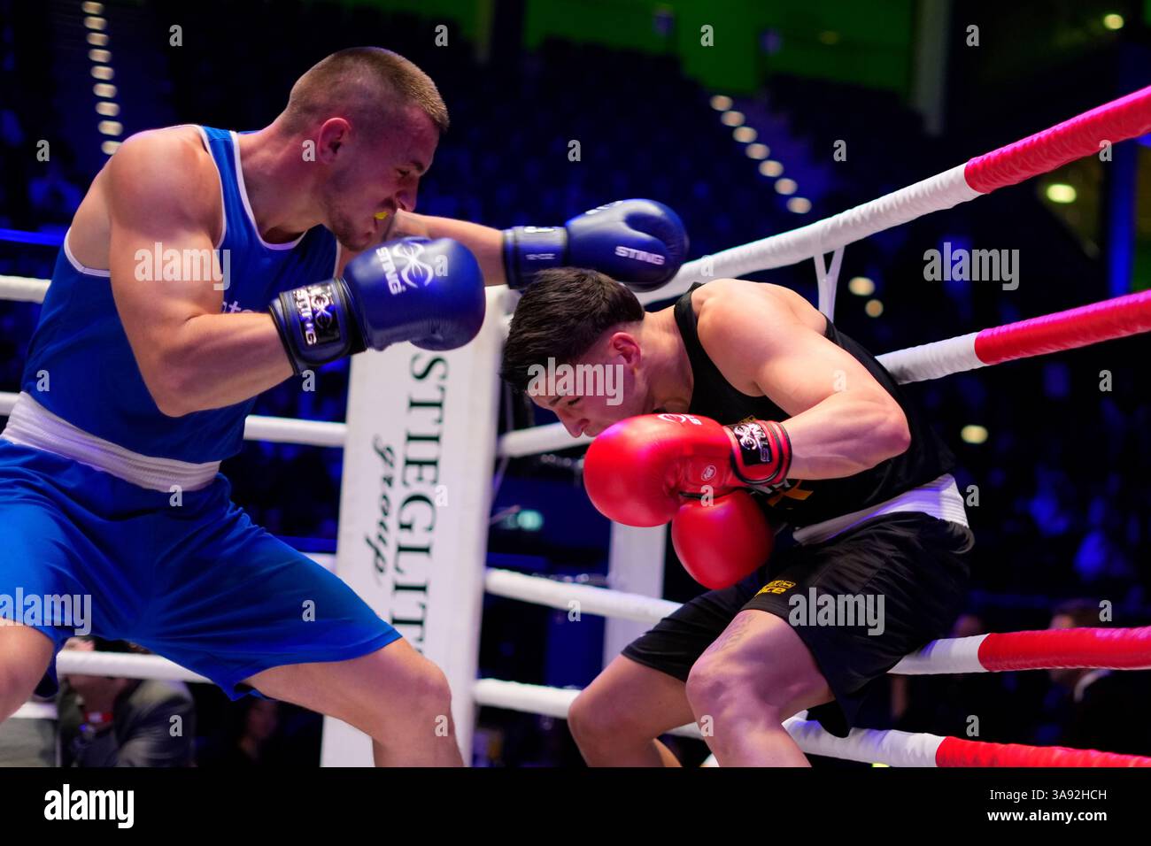 SCHWECHAT, AUSTRIA - MARCH 29: Almir Memic of Serbia throws a punch ...