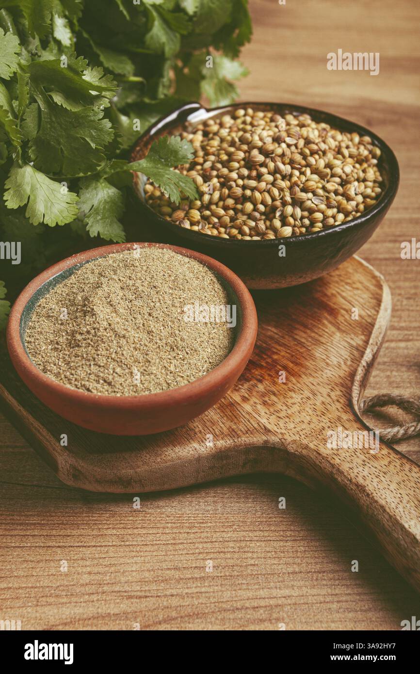 A bunch of fresh cilantro, coriander seeds and powder bowls, close-up ...