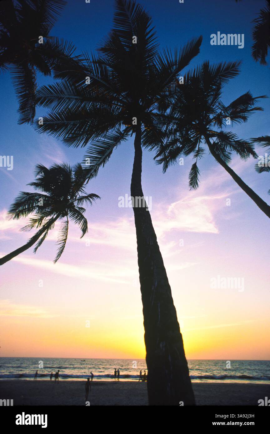 Colva Beach at sunset in Goa, India Stock Photo - Alamy