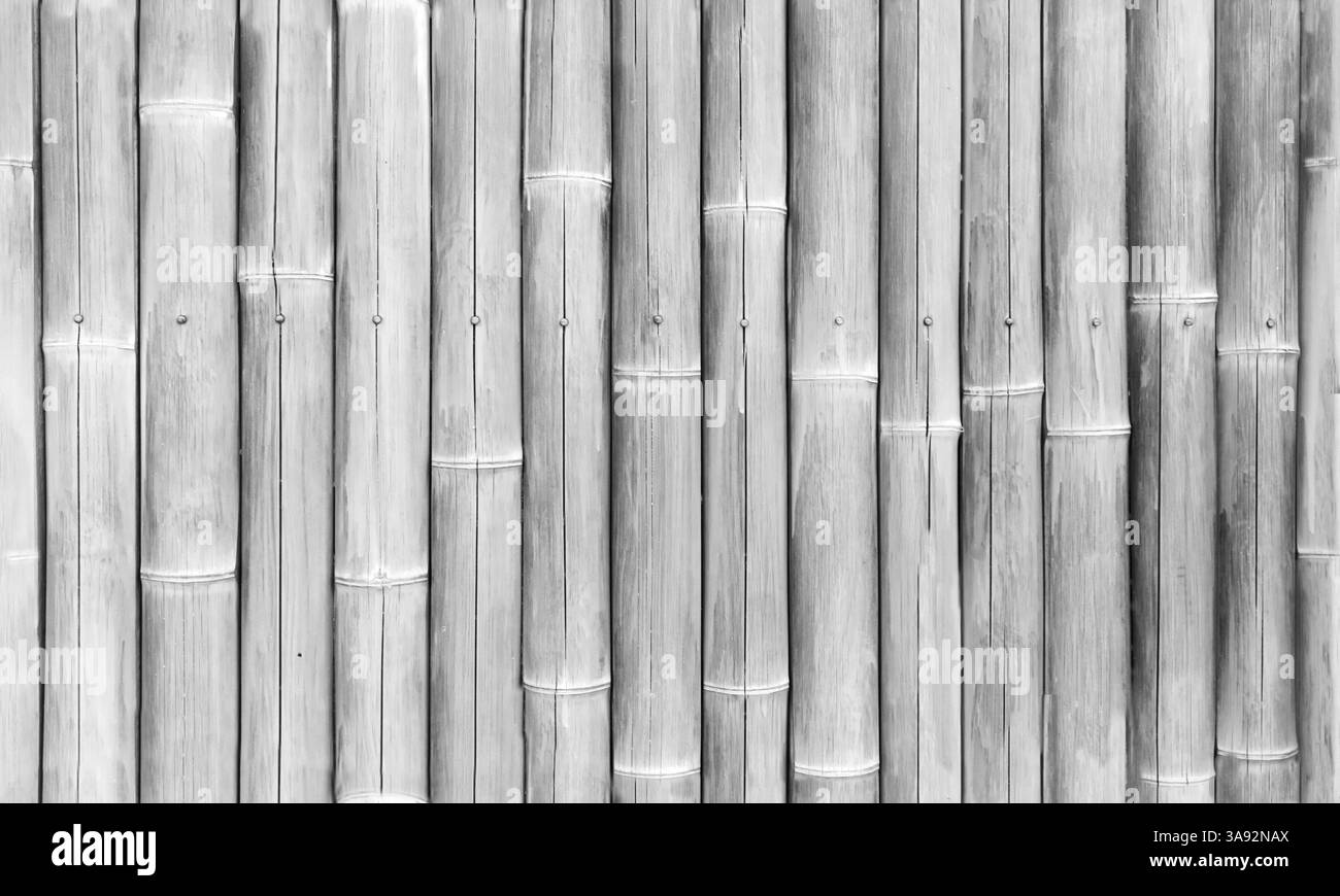 White bamboo fence, close up seamless background photo texture, front ...