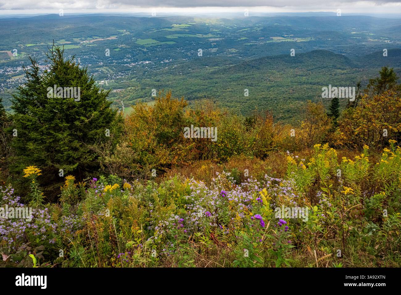 View mt adams from hi-res stock photography and images - Alamy