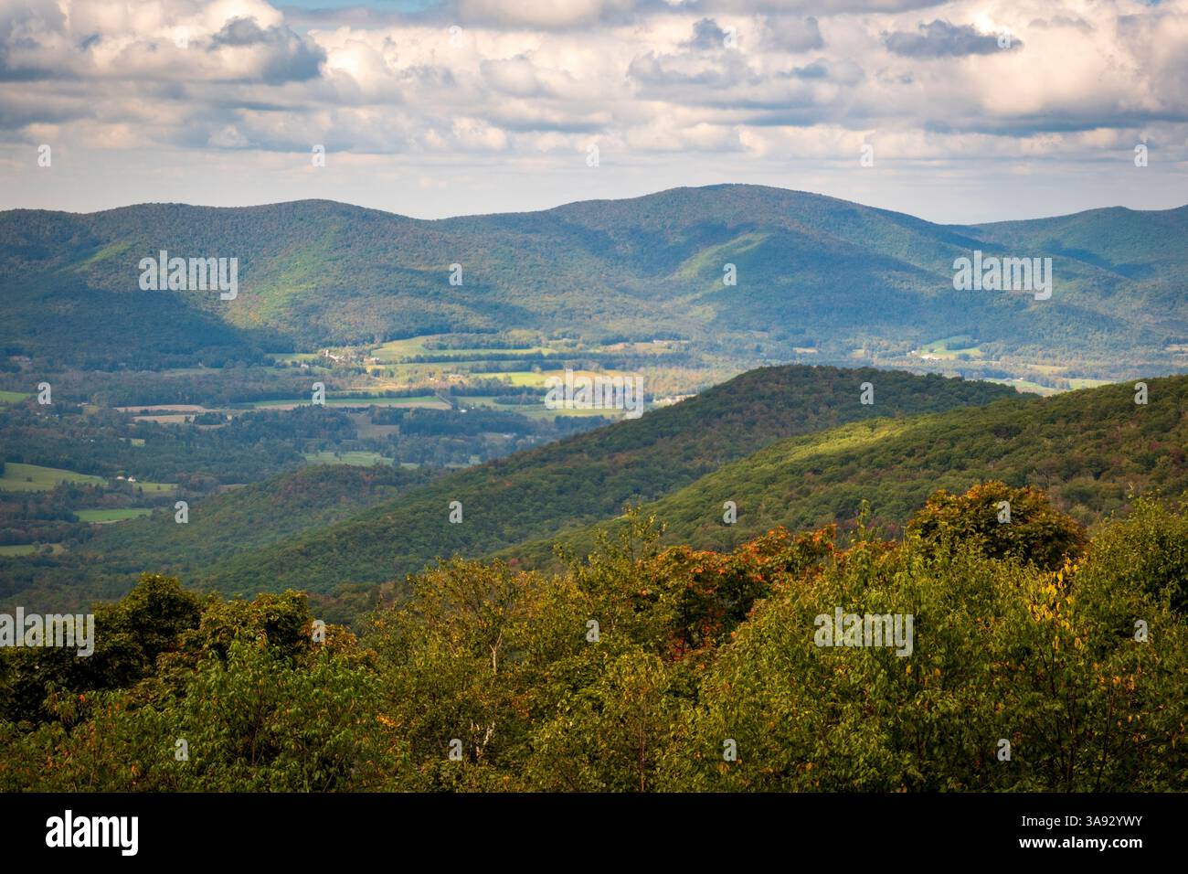 Greylock hi-res stock photography and images - Alamy