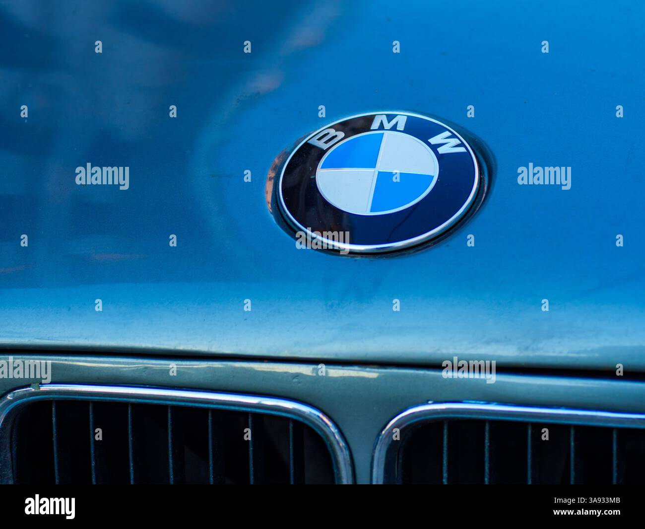 A close-up shot of the BMW E34 5 Series logo, highlighting the iconic ...