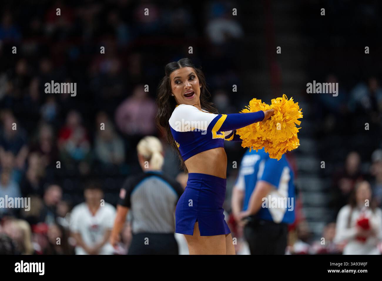 LSU Lady Tigers cheerleader during NCAA Tournament basketball game ...