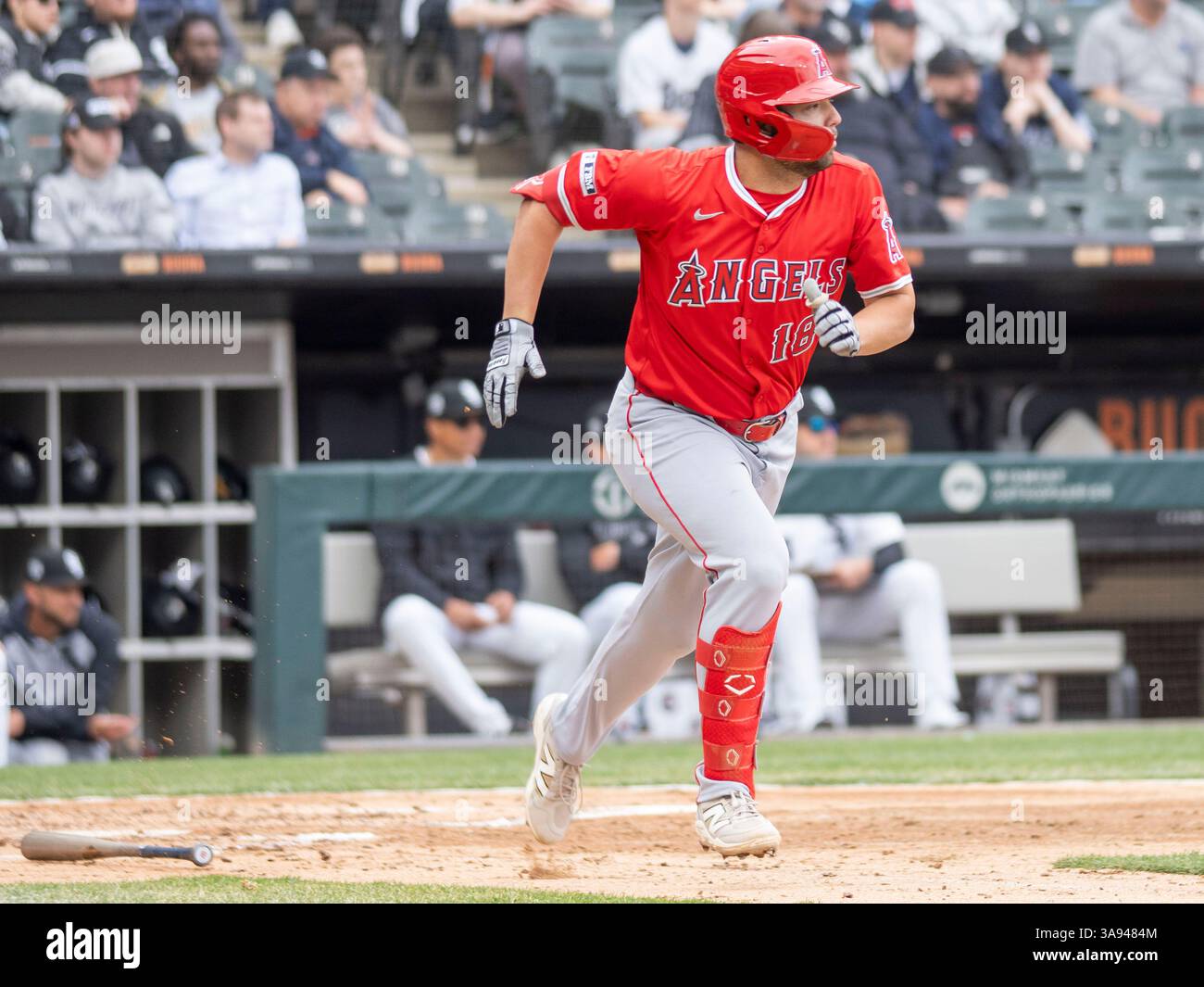 CHICAGO, IL - MARCH 29: Los Angeles Angels first base Nolan Schanuel ...