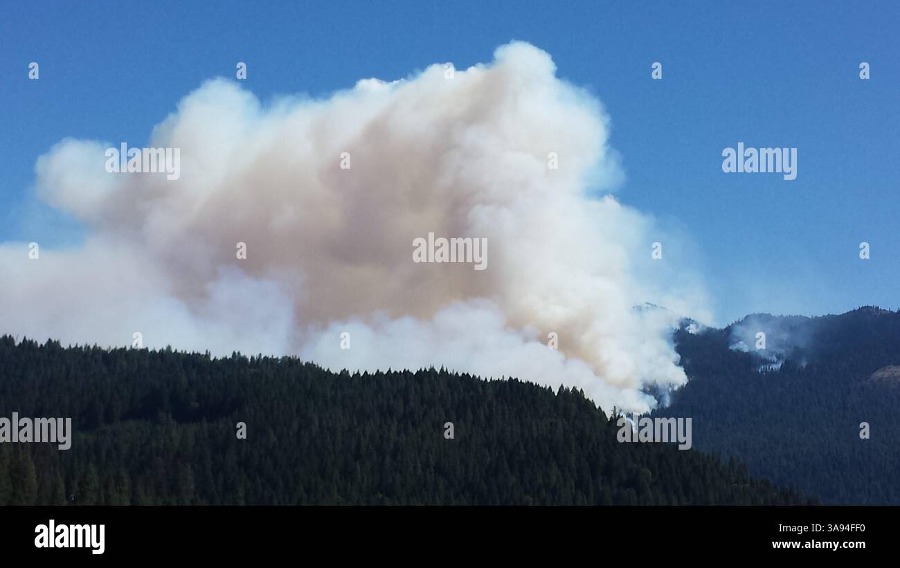 September 15, 2017 - Black Rock Mountain, California, U.S. - The Buck ...