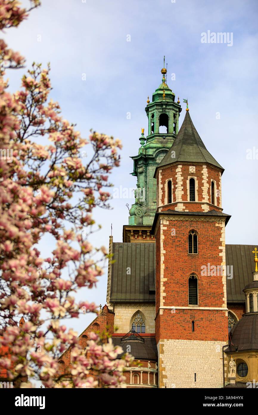 Europe, Poland, Krakow. The Wawel Castle. Structures representing ...