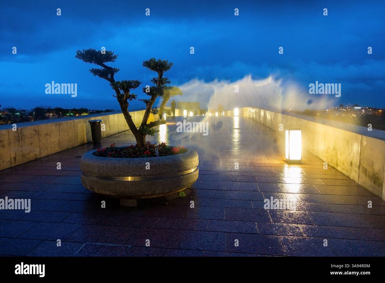 Japanese Bonsai Tree, Surreal Rain Water Spray Light Effect, Stormy ...