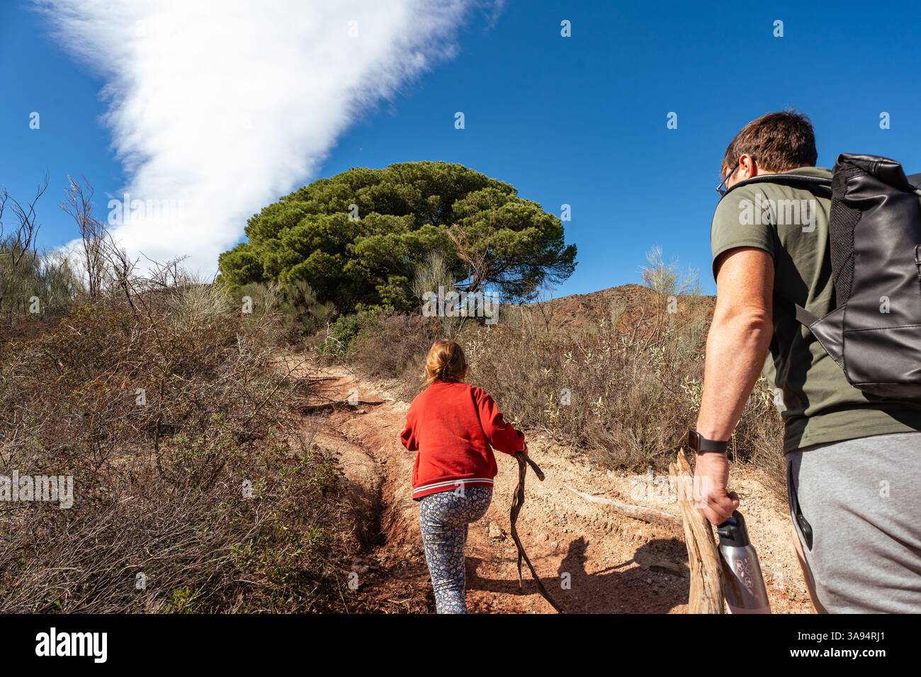 Adults hiking in nature: exploring a rugged trail with scenic views ...
