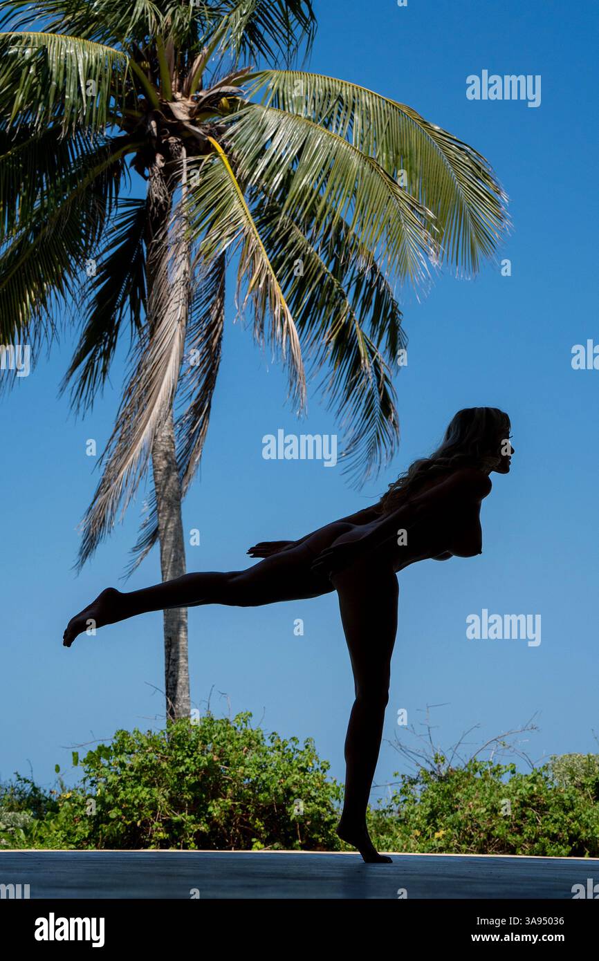 A woman's silhouette strikes a graceful yoga pose against the vibrant ...