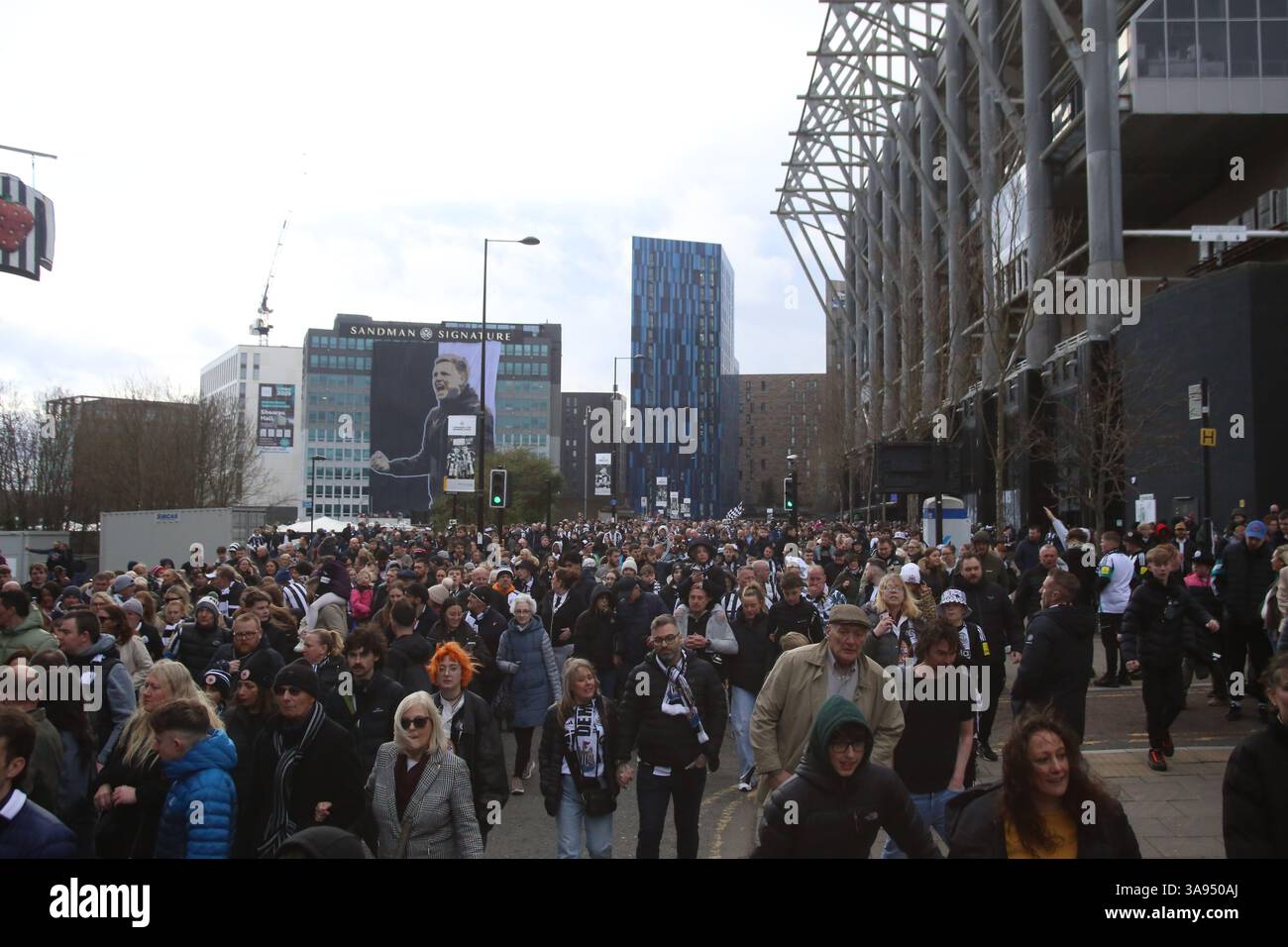 Newcastle Football Fans Celebrate Newcastle United Players Carabao Cup ...