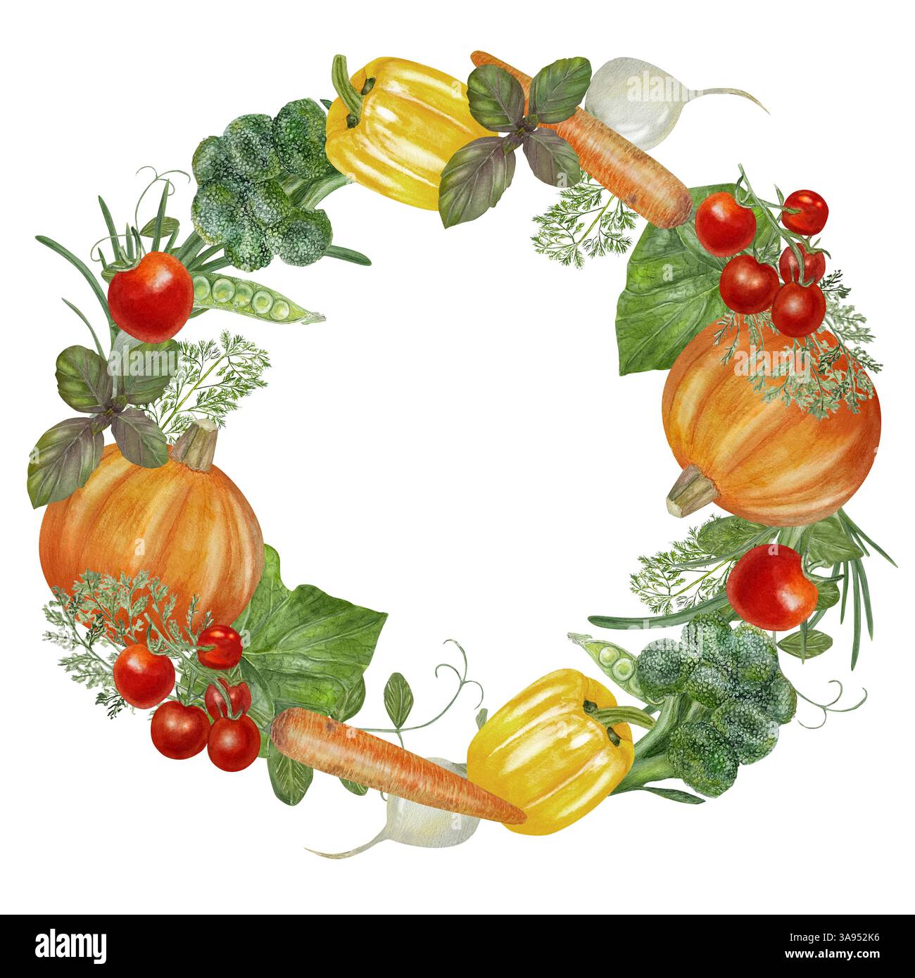 Fall vegetables harvest watercolor wreath isolated on white. Farm ...