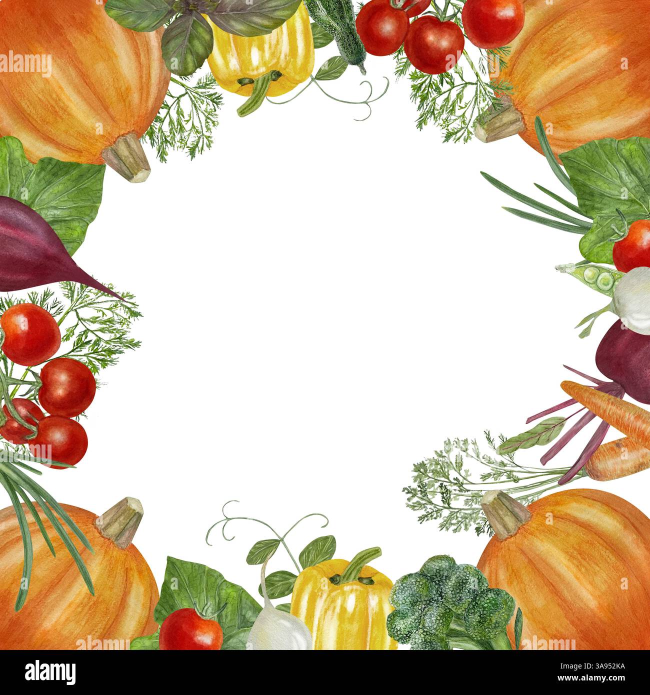 Fall vegetables harvest watercolor square frame isolated on white. Farm ...