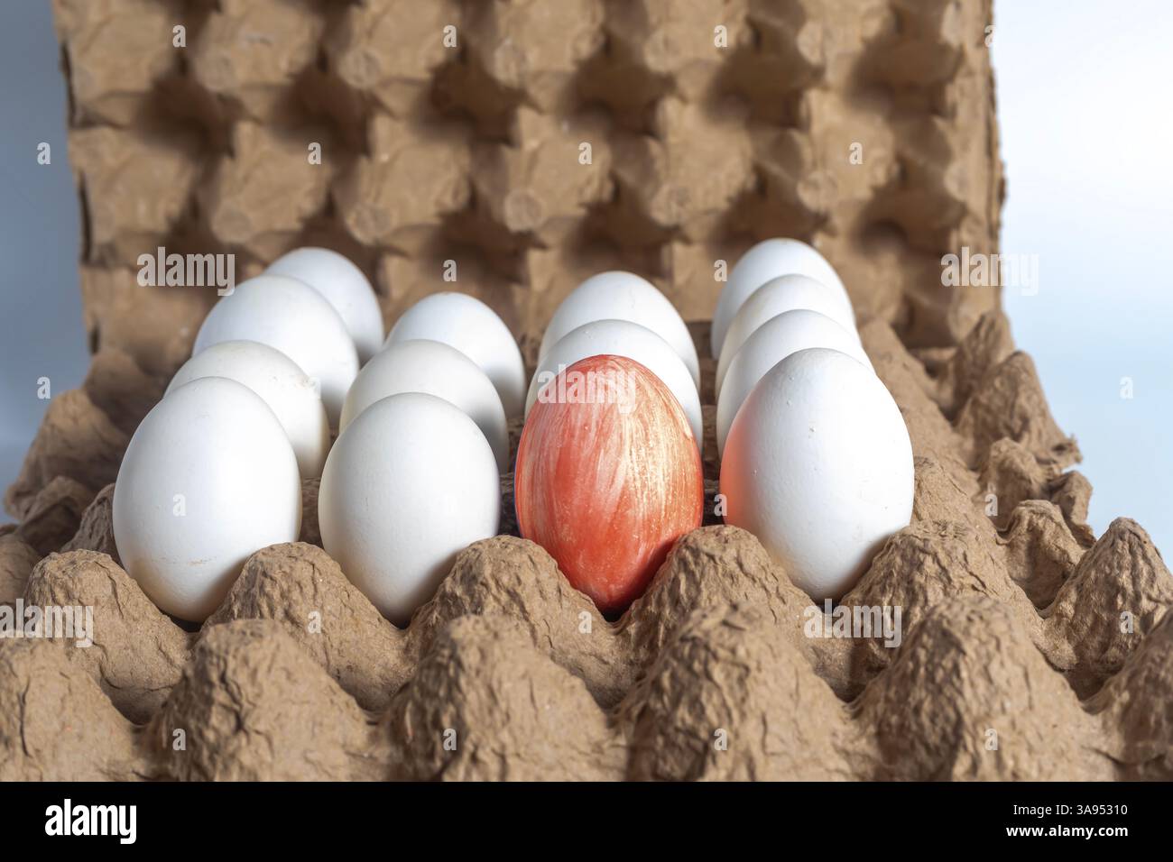 A uniquely painted egg among a dozen white eggs in a biodegradable ...