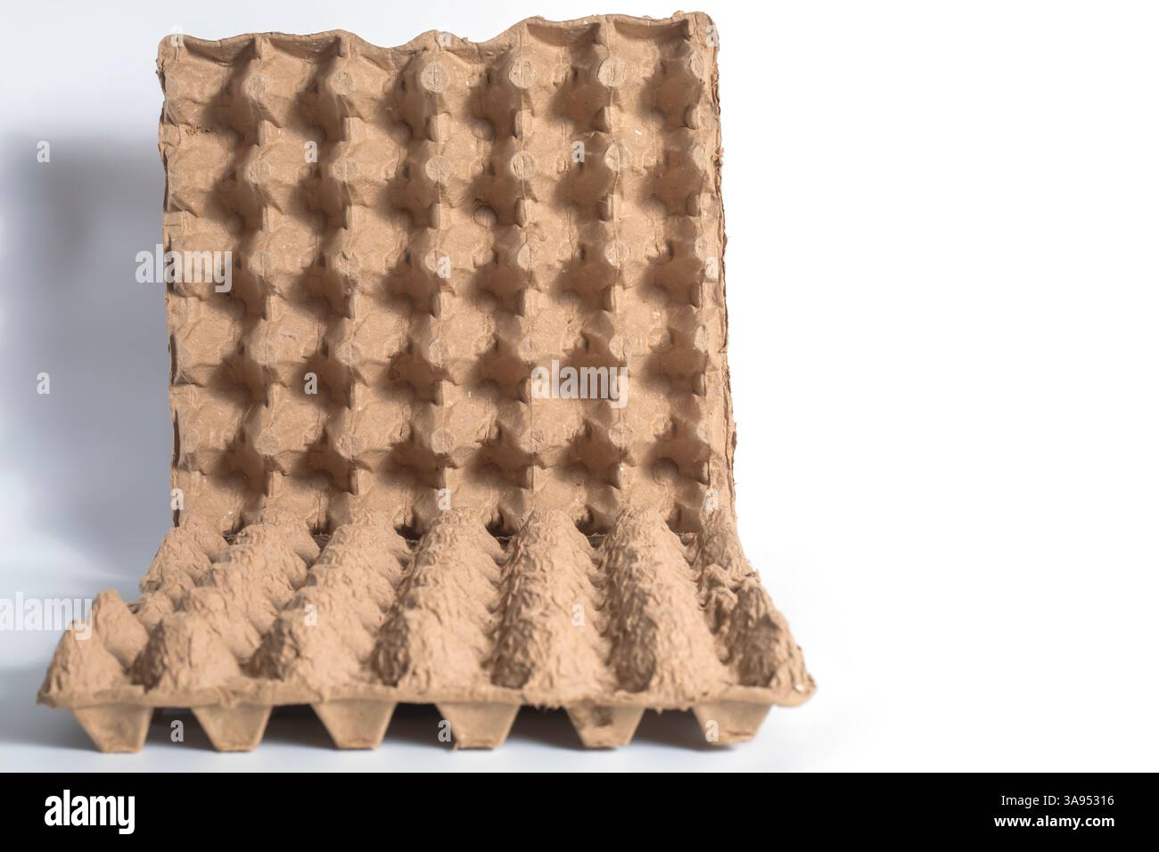 A cardboard egg tray is shown upright, showing its structured ...