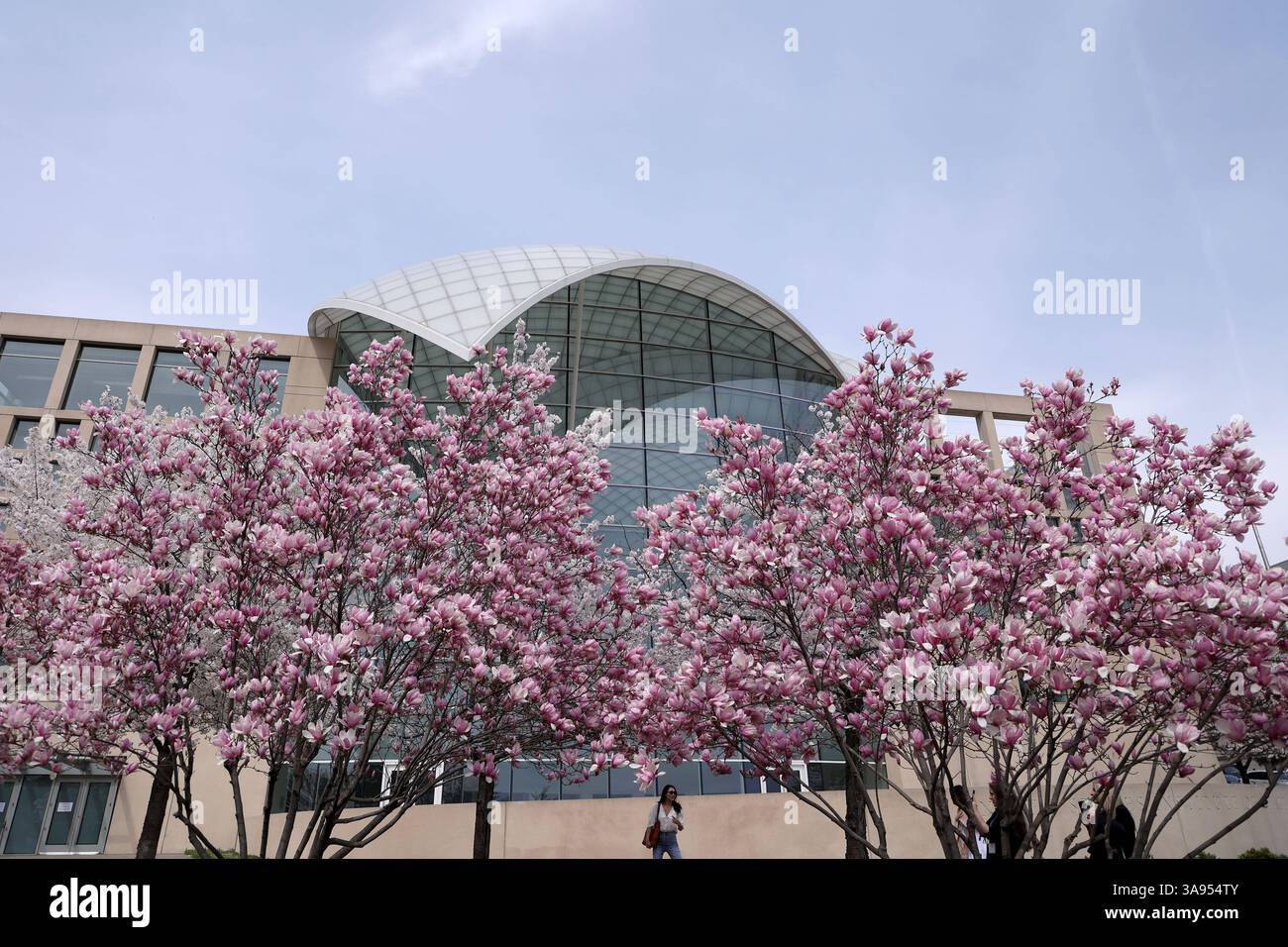 The United States Institute of Peace USIP building in Washington ...