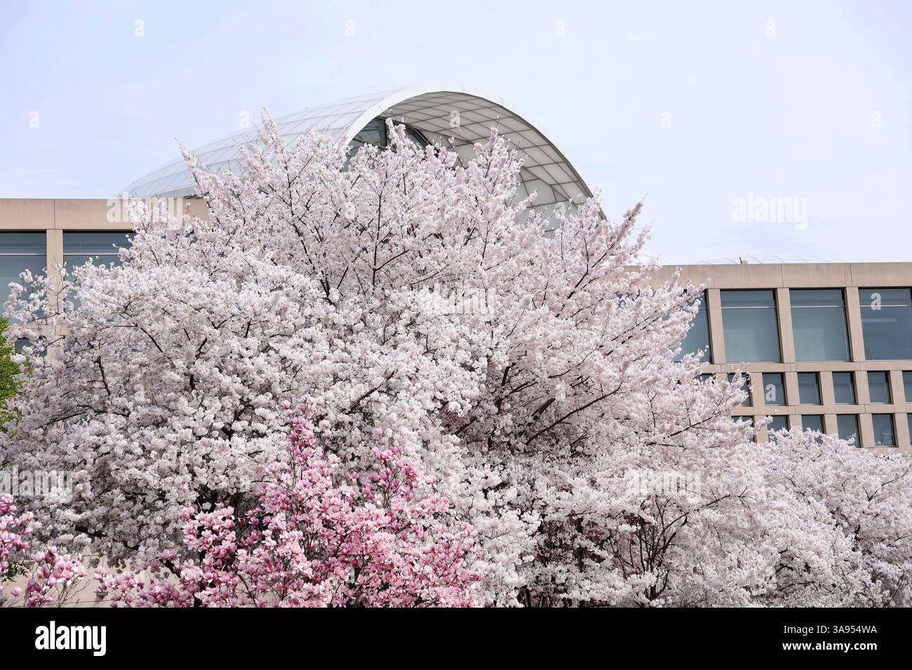 The United States Institute of Peace USIP building in Washington ...