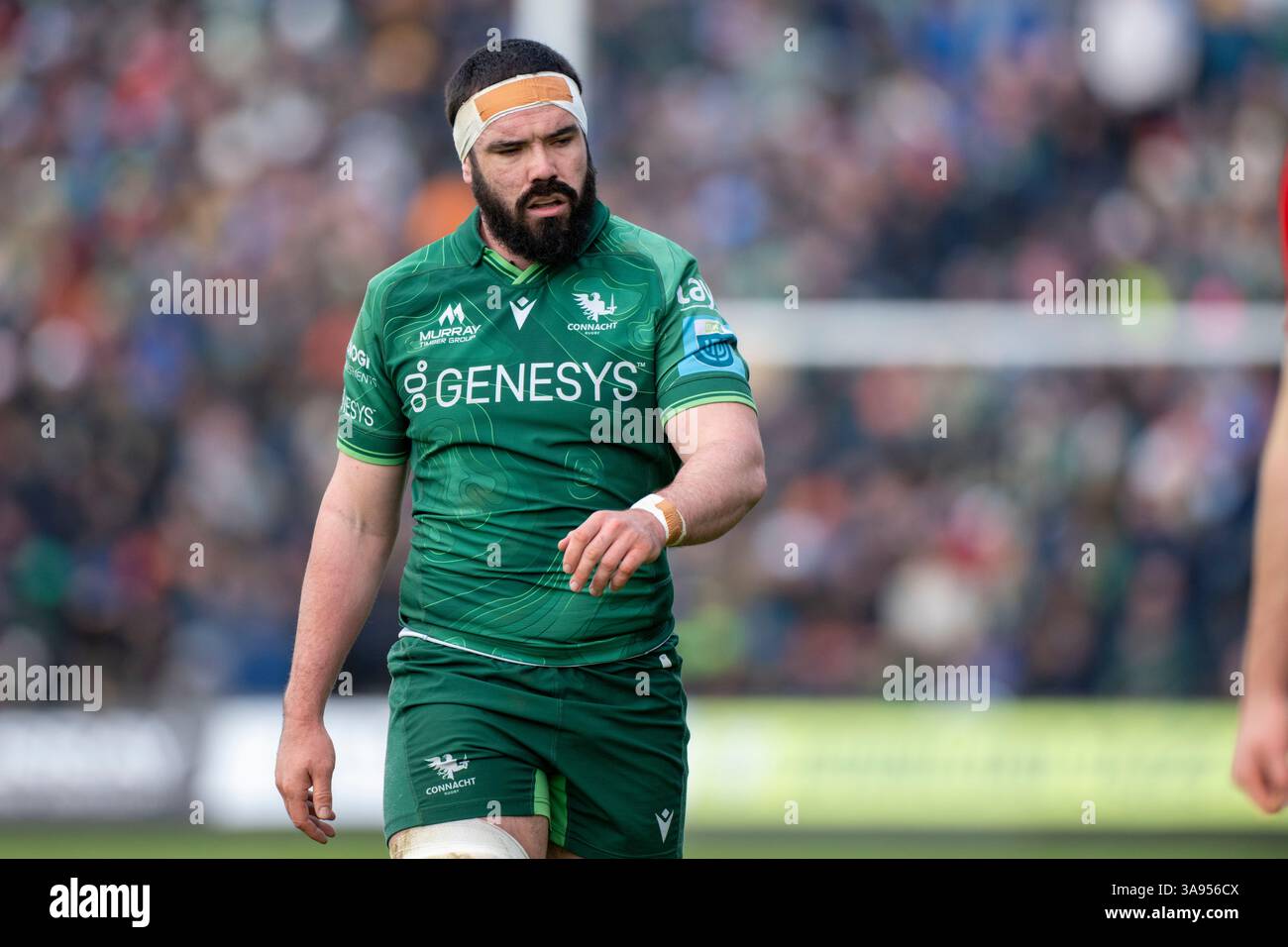Castlebar, Ireland. 30th Mar, 2025. Paul Boyle of Connacht disappointed ...