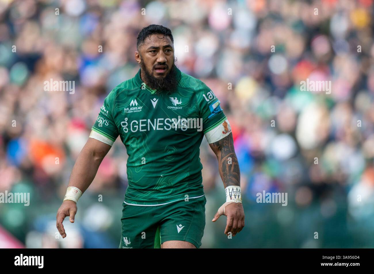 Castlebar, Ireland. 29th Mar, 2025. Bundee Aki of Connacht during the ...