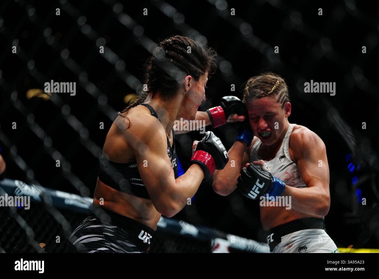 March 29, 2025, Mexico City, Mexico, Las Vegas, Nv, United States ...