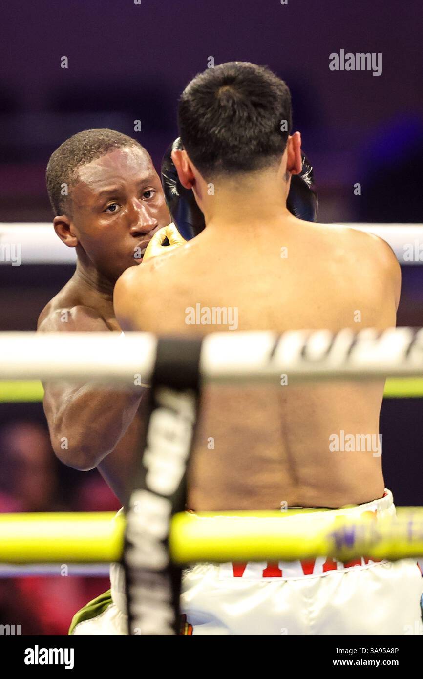 March 29, 2025: (L-R) Featherweight Bruce Carrington punches Jose ...